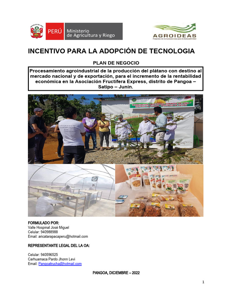 PLATANO - Fructifera - Agroideas - CENTENO | PDF | Agricultura | Cosecha