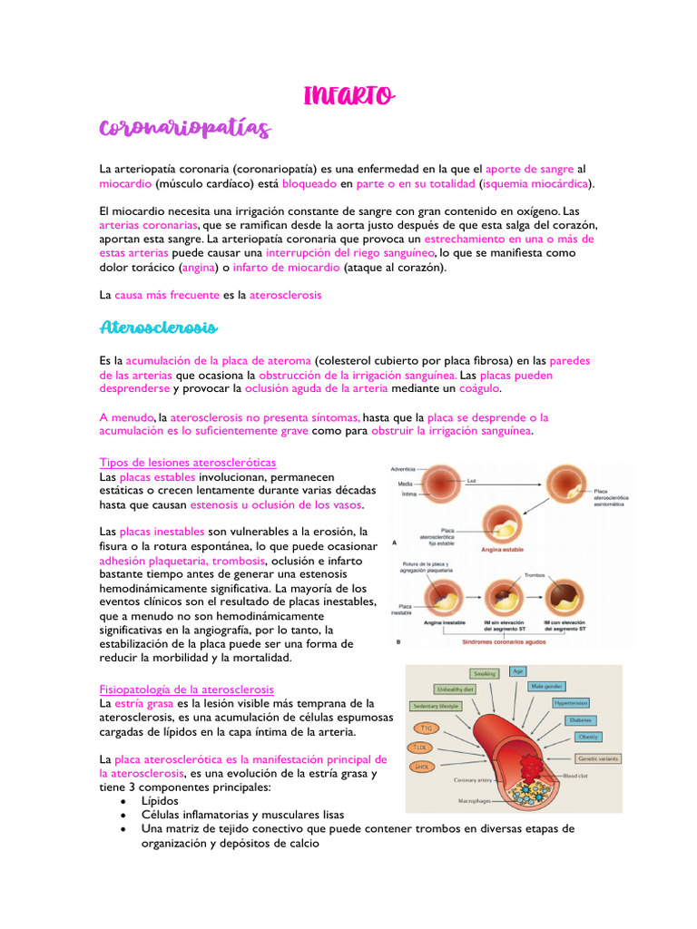 Resumen Control 2 Lab Pato | PDF | Aterosclerosis | Infarto de miocardio