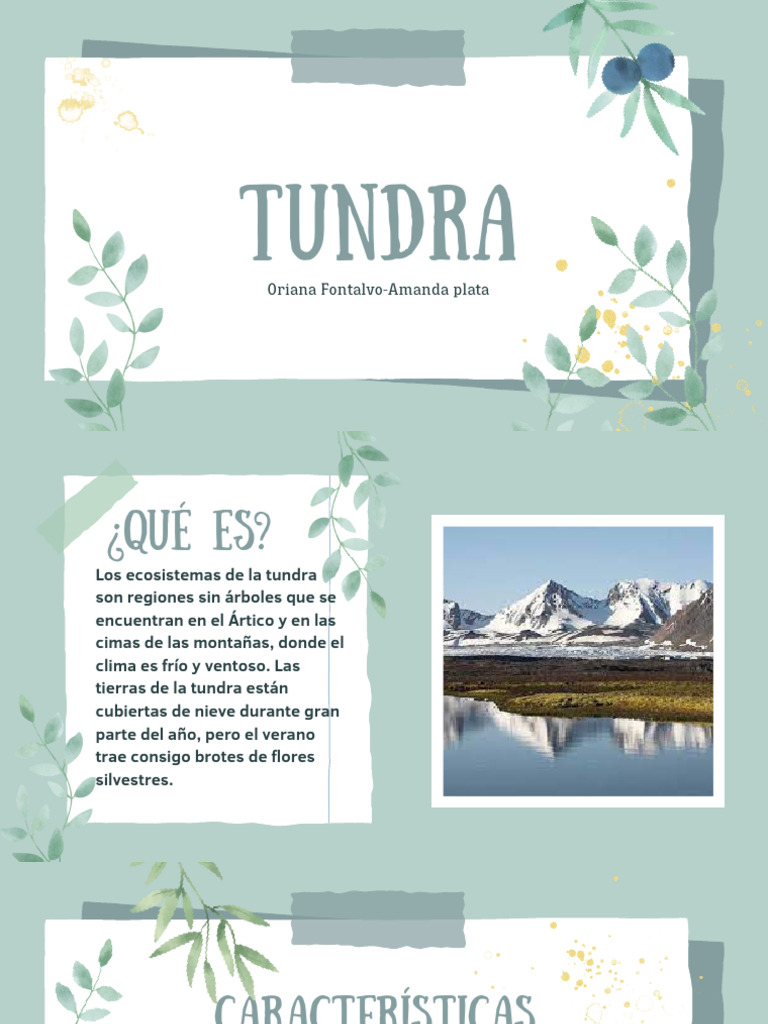 Ecosistema Tundra-Biologia | PDF