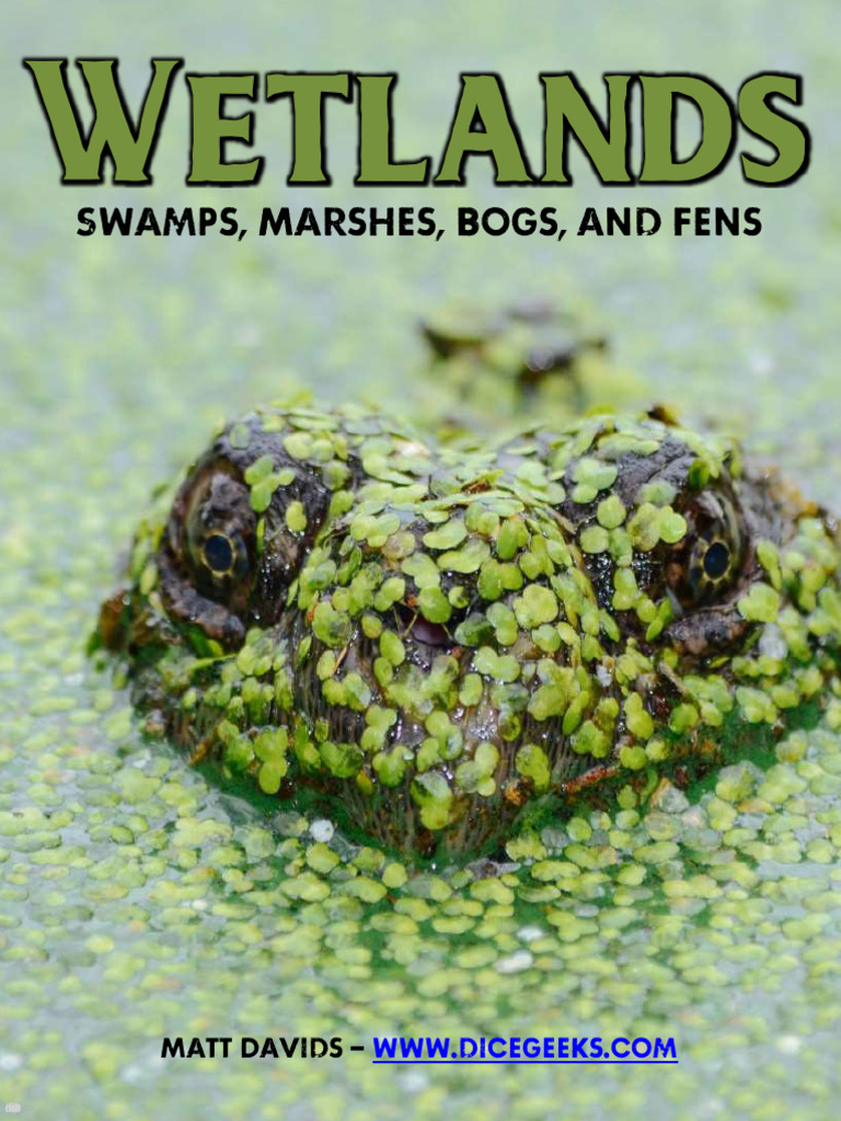 Exploring Swamps, Marshes, and Bogs | PDF | Wetland | Peat