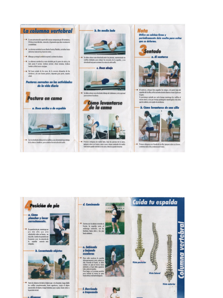 Folleto Columna UDES | PDF