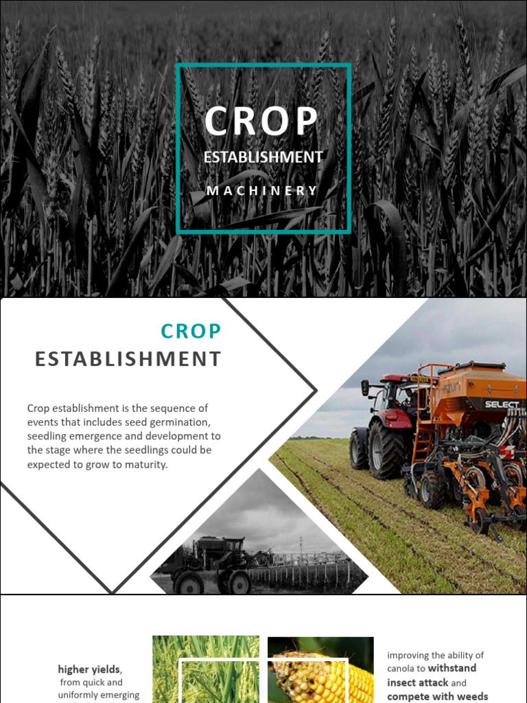 Crop Establishment Machinery | PDF | Sowing | Plough