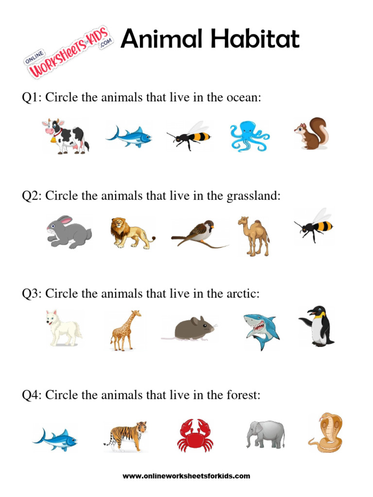 Animal Habitat Worksheets for Kids | PDF | Young Adult