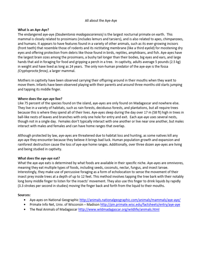 075 Learning Module What Is An Aye Aye | PDF | Organisms | Zoology