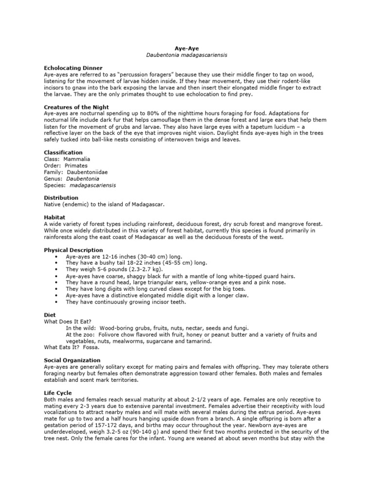 Aye Aye | PDF | Organisms