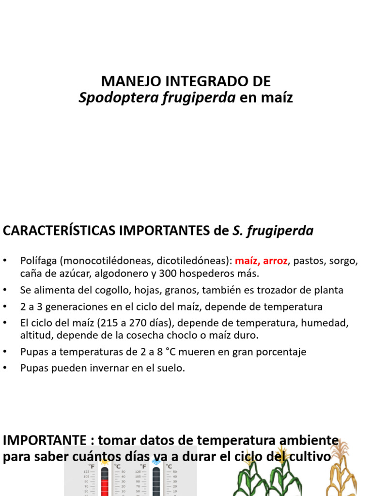 Ento - Clase 15-16 | PDF