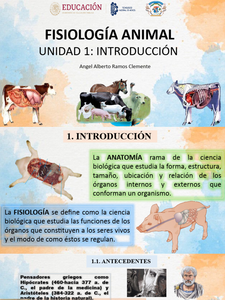 Unidad 1fisiologìa Animal Pdf Fisiología Homeostasis
