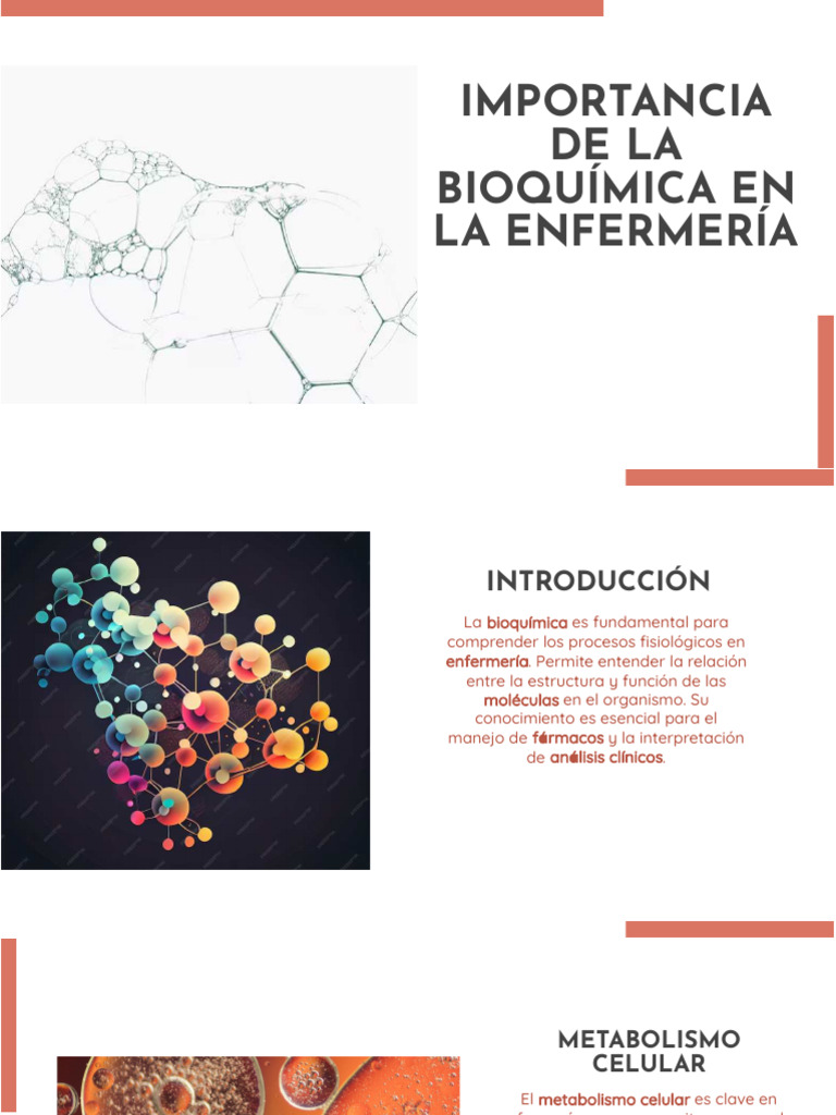 Wepik Importancia de La Bioquimica en La Enfermeria 20231117012521xeTJ | PDF | Farmacología ...