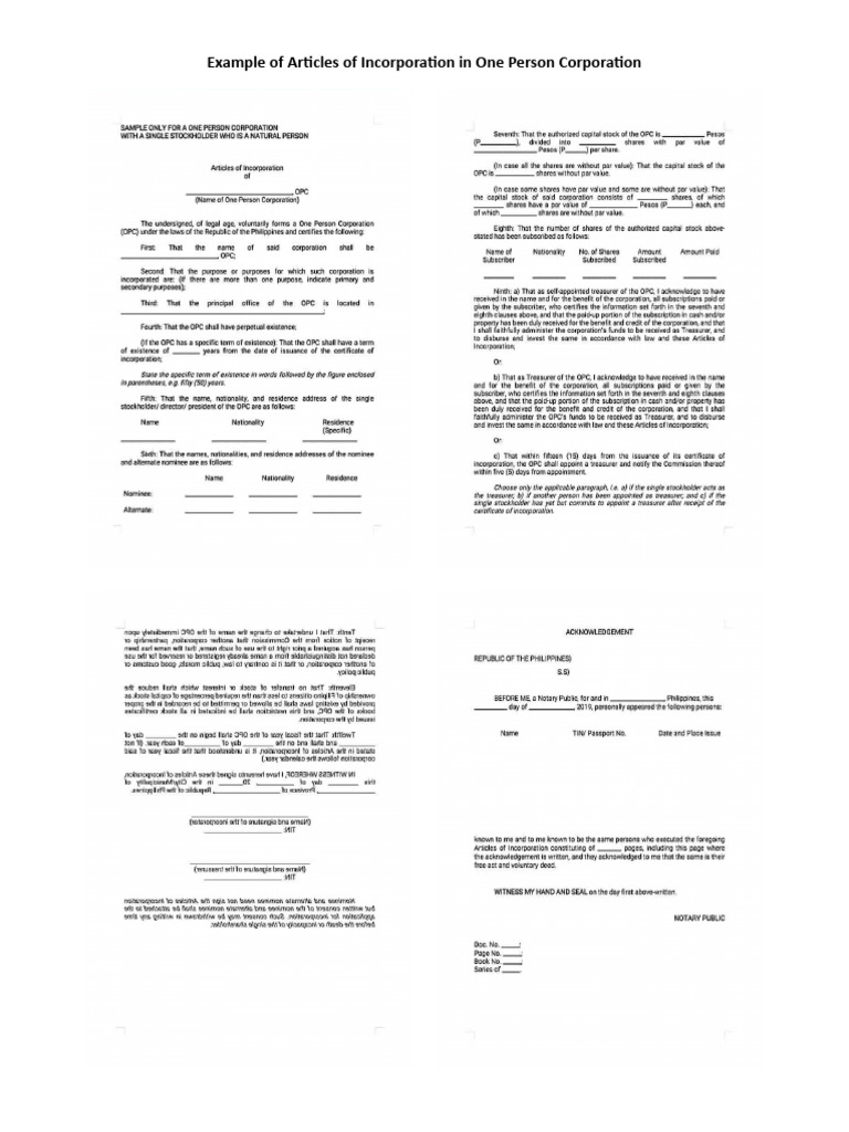One Person Corporation AOI Example | PDF | Corporations | Shareholders