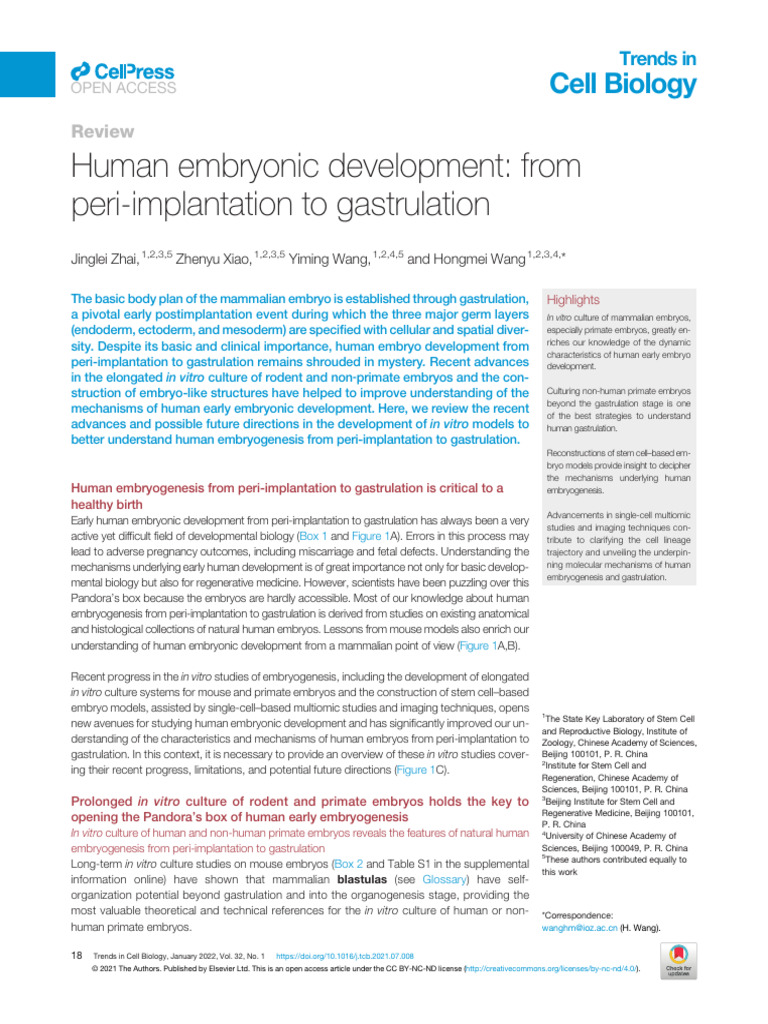 Human Embryonic Development From Peri-Implantation To Gastrulation | PDF | Embryo | Cell Potency