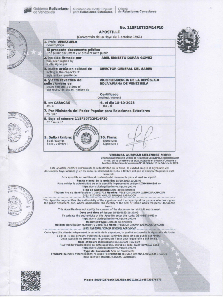 Apostilla Hijo de Chile | PDF