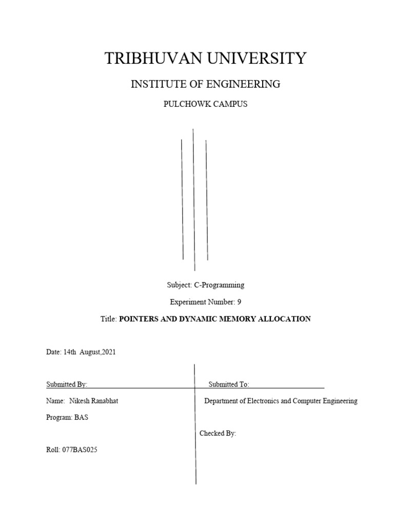 Lab 9 Report | PDF | Pointer (Computer Programming) | Variable (Computer Science)