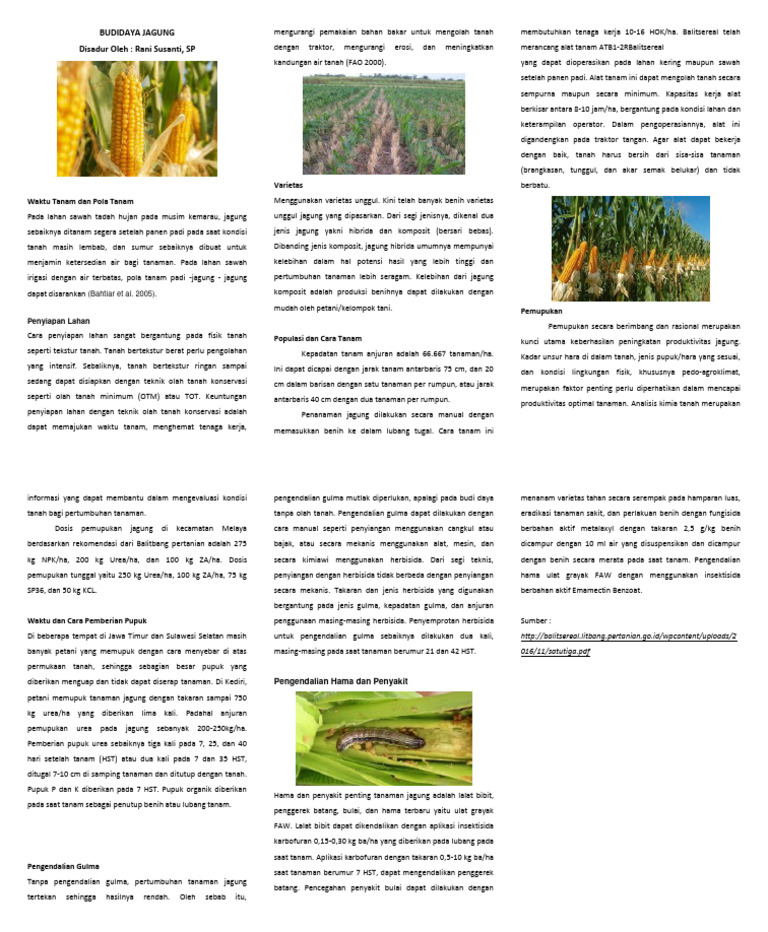 Leaflet Budidaya Jagung | PDF