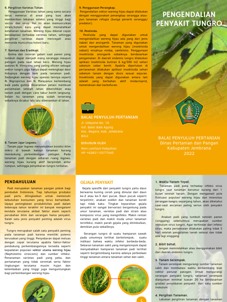 Pengendalian Penyakit Tungro pada Padi | PDF