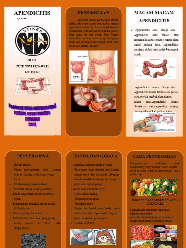Leaflet Appendicitis | PDF
