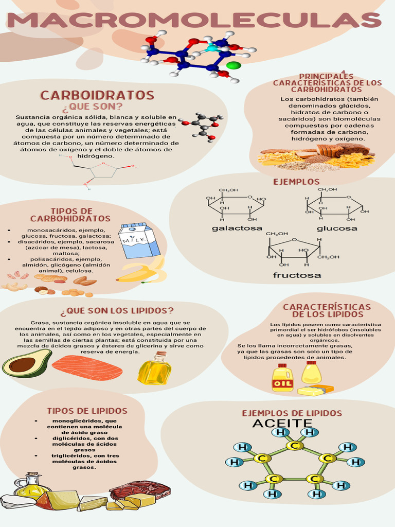 Macromoléculas | PDF