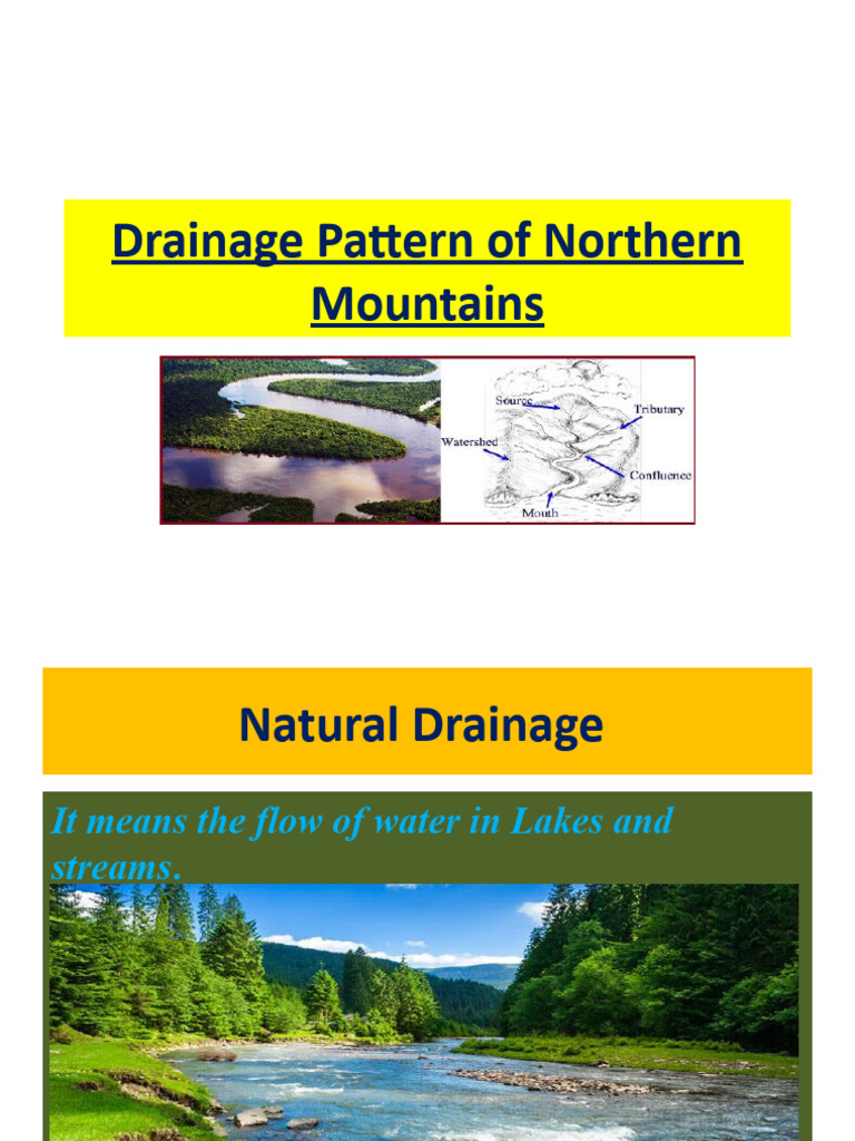 Indus River Drainage Pattern Overview | PDF