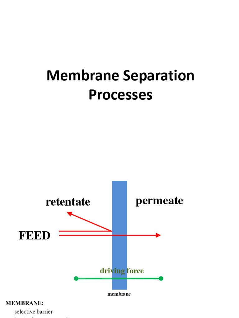 Membrane Separation | PDF | Membrane Technology | Osmosis