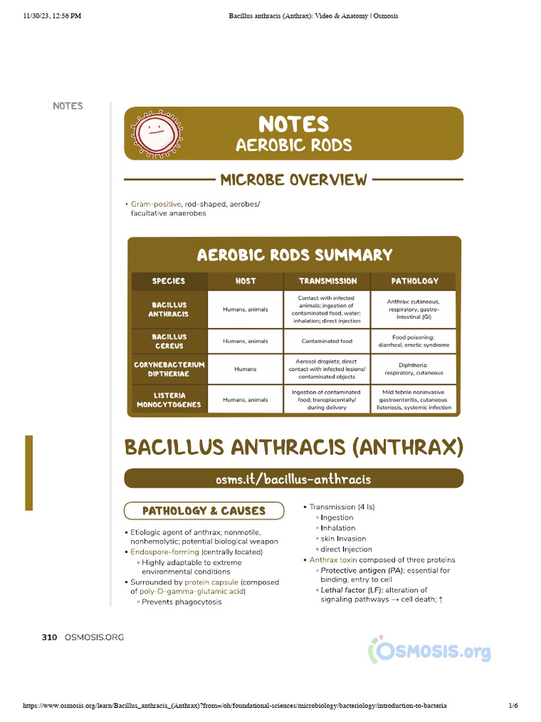 Bacillus Anthracis Overview and Prevention | PDF