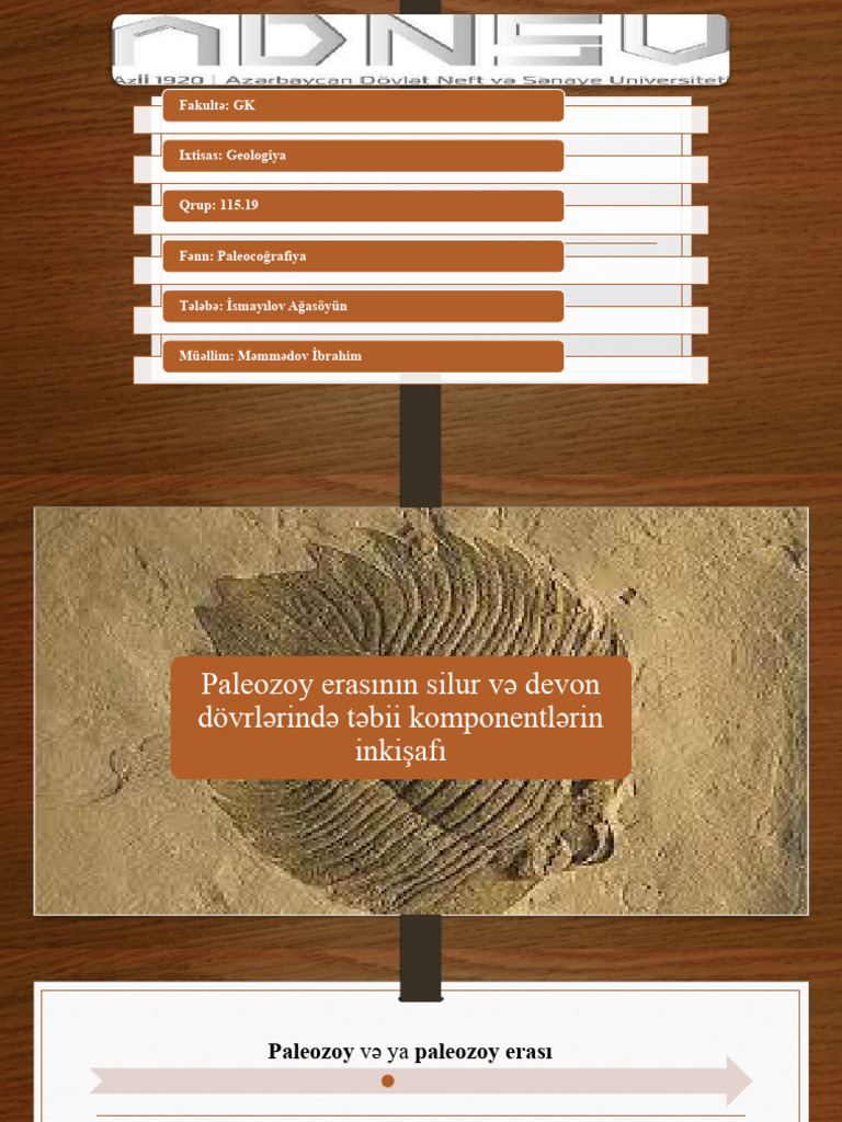Paleocografiya 115.19 AGA | PDF