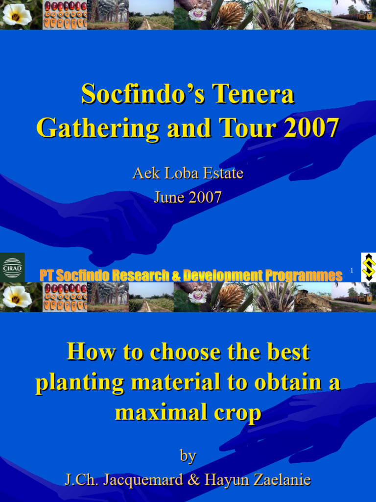 How To Choose The Best Planting Material by JJM | PDF | Plant Nursery ...