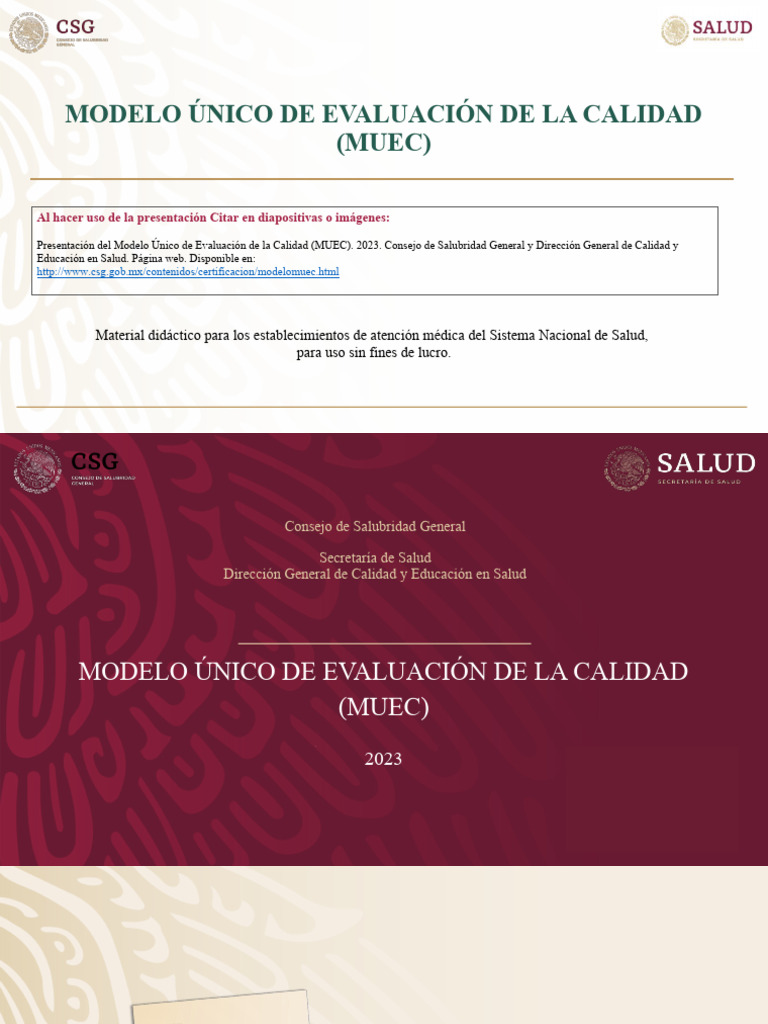 Fases y Capas del MUEC en Salud | PDF | Calidad (comercial) | Evaluación