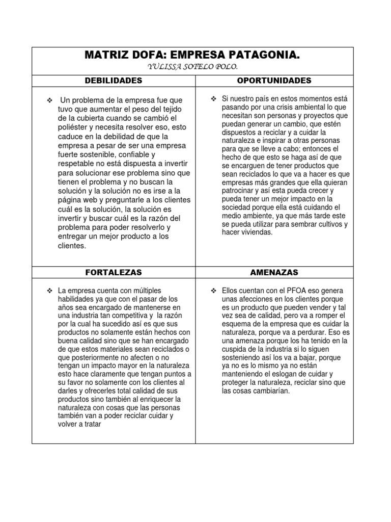 Análisis DOFA de Patagonia: Retos y Oportunidades | PDF | Business ...