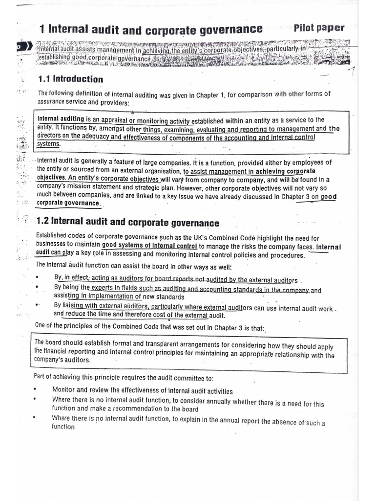 Internal Auditing | PDF