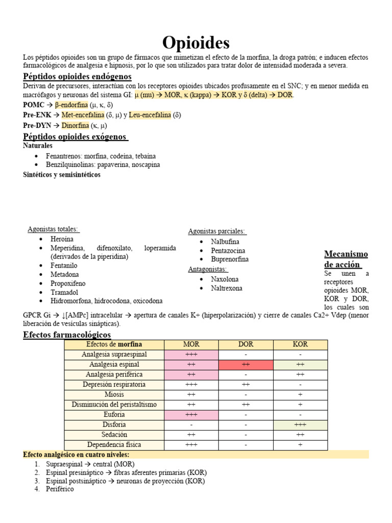 Opioides | PDF | Naloxona | Opioide