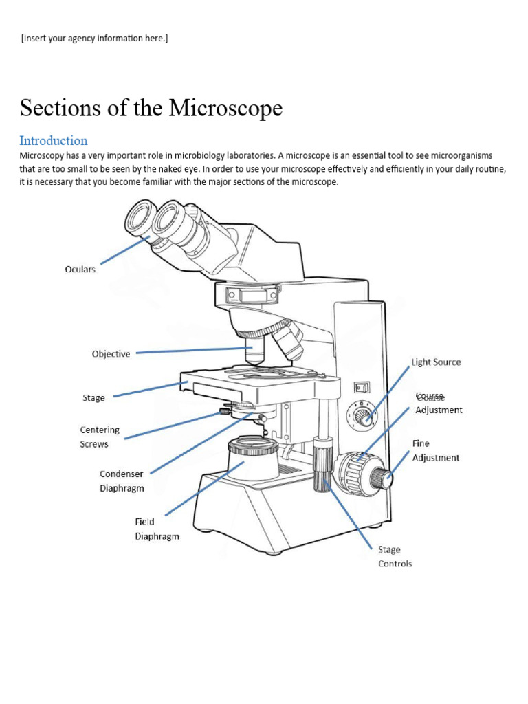 Sections Microscope | PDF | Microscope | Glass Applications