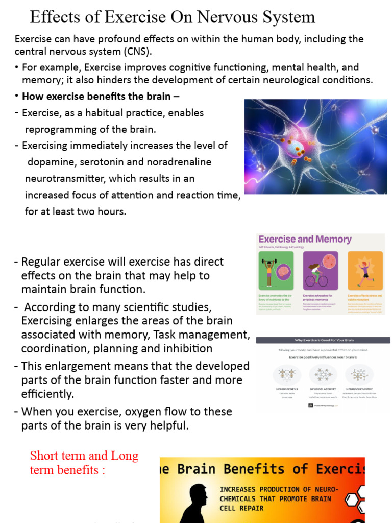 How Exercise Benefits The Brain | PDF