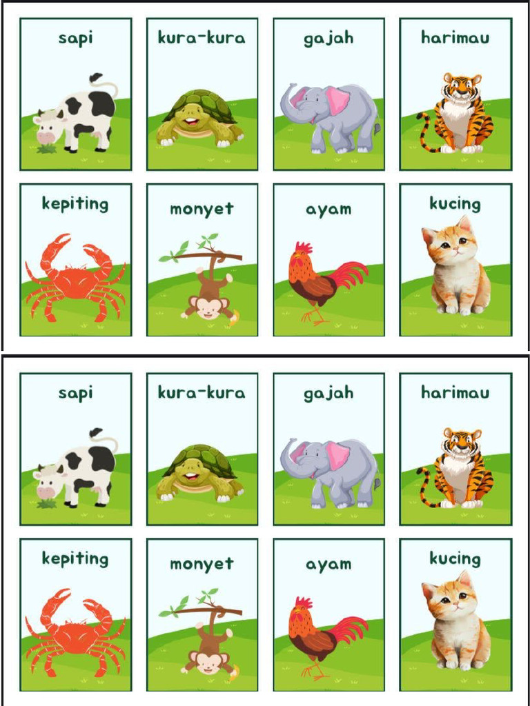 Kartu Hewan Dan Buah | PDF