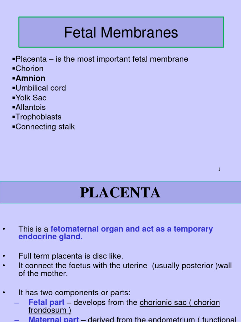 Placenta Updated | Download Free PDF | Placenta | Fetus