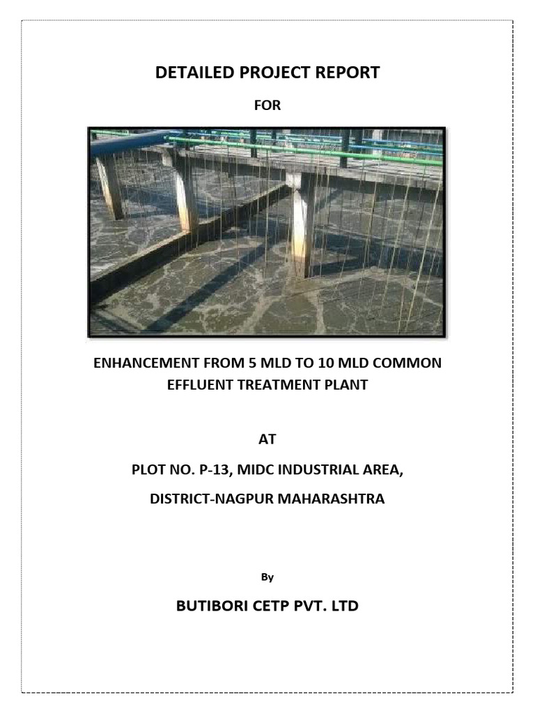 SIP Report | PDF | Chromium | Environmental Science
