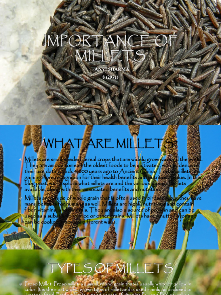 Importance of Millets | PDF | Cereals | Nutrients