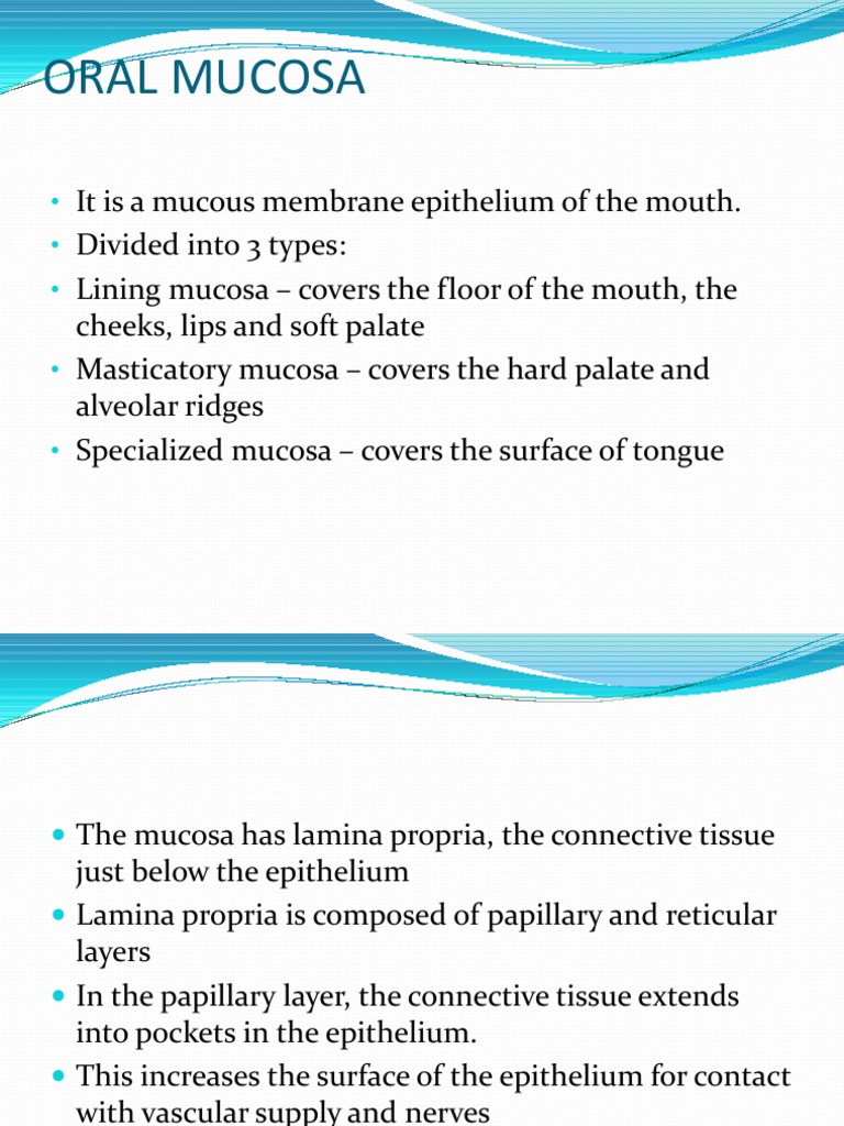 Oral Mucosa | PDF | Tongue | Taste