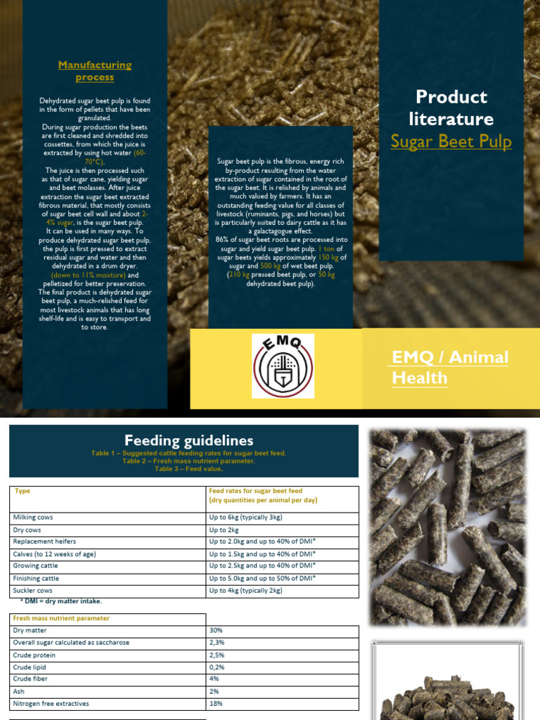 Sugar Beet Pulp PL | PDF | Sugarcane | Cattle