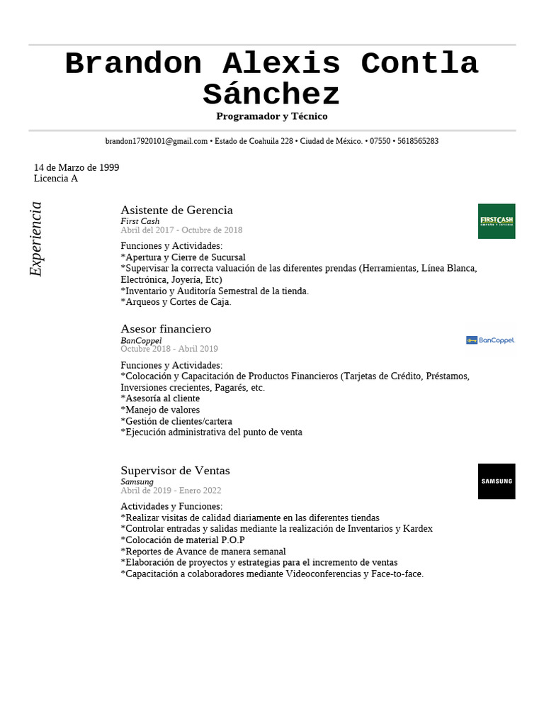 Currículum Vitae Brandon | PDF | Economias | Business