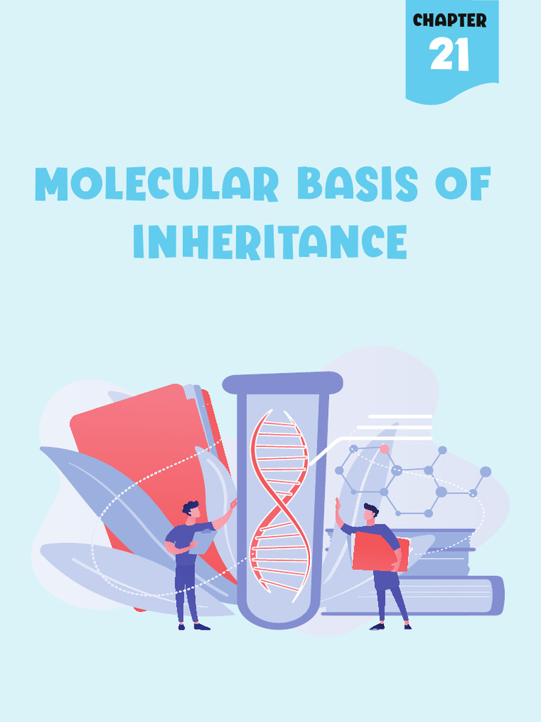 Molecular Basis of Inheritance | PDF | Operon | Gene