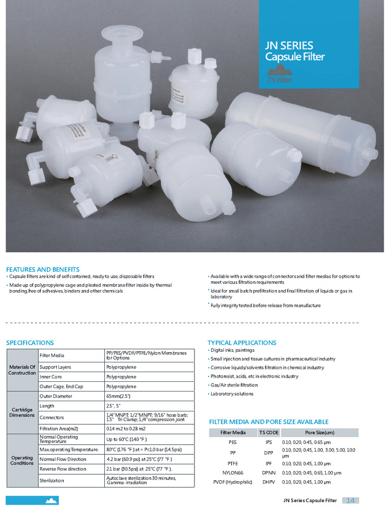 Capsule Filter-TS Filter | PDF