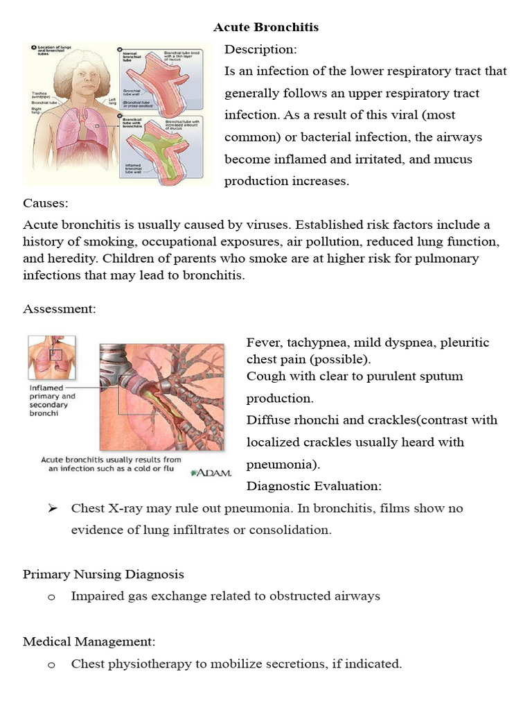Respi | Download Free PDF | Pneumonia | Asthma
