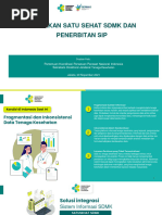 Panduan Registrasi Satu Sehat SDMK | PDF