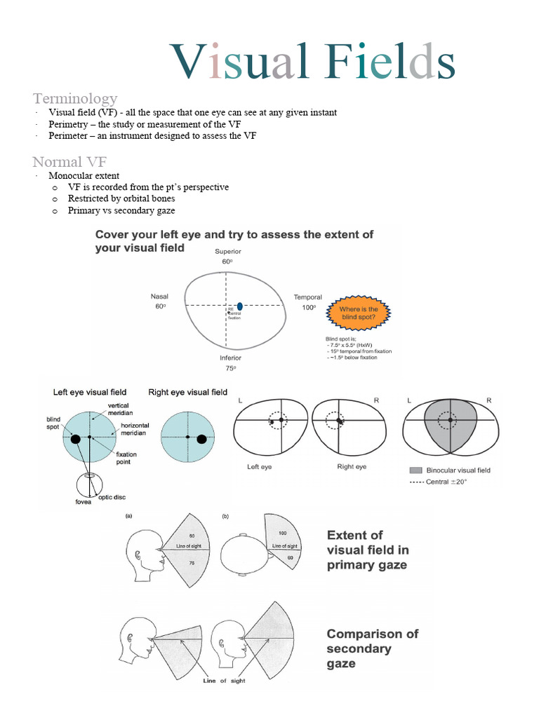 Visual Fields | PDF | Visual System | Contrast (Vision)
