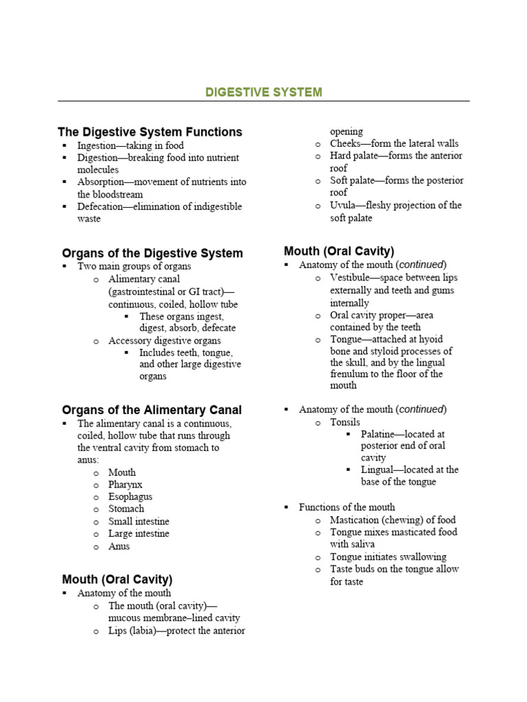 Digestive System | PDF | Stomach | Digestion