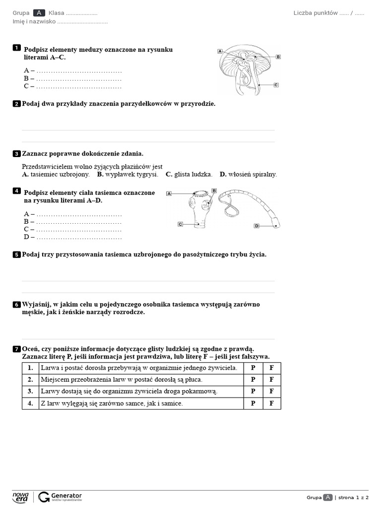 kl6 Od Parzydełkowców Do Pierścienic | PDF