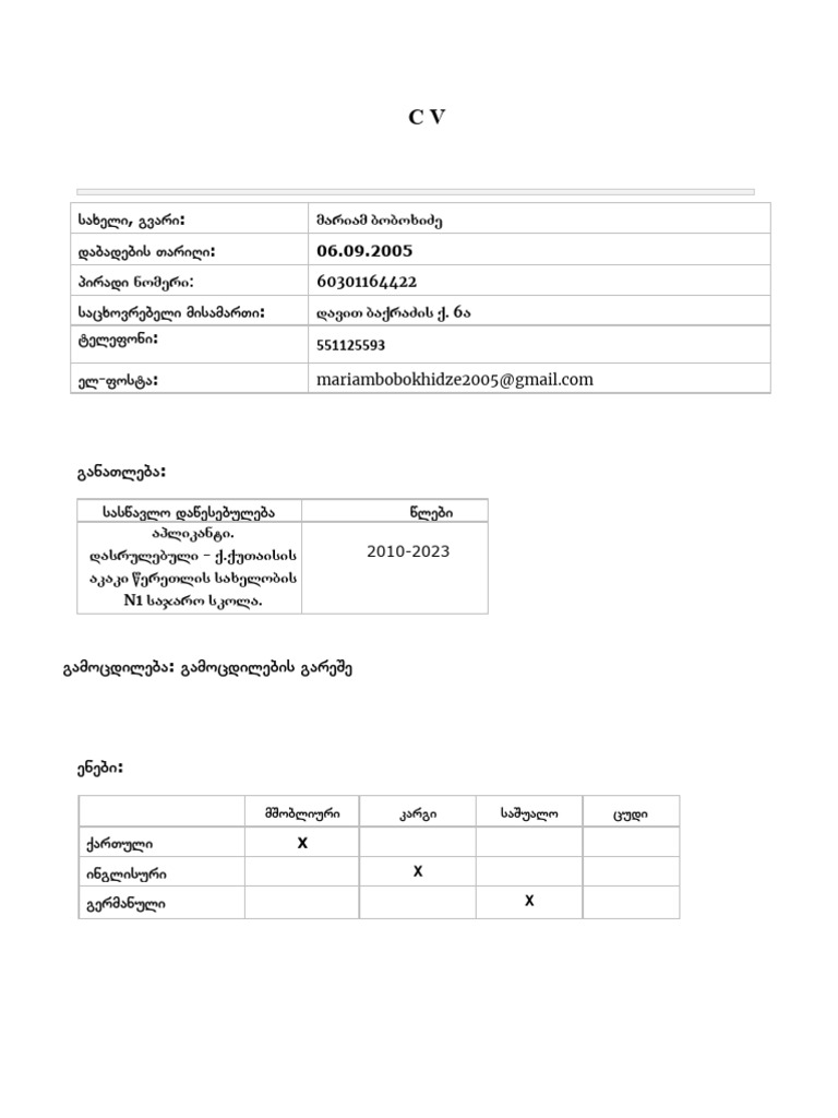 CV Mariam Bobokhidze | PDF