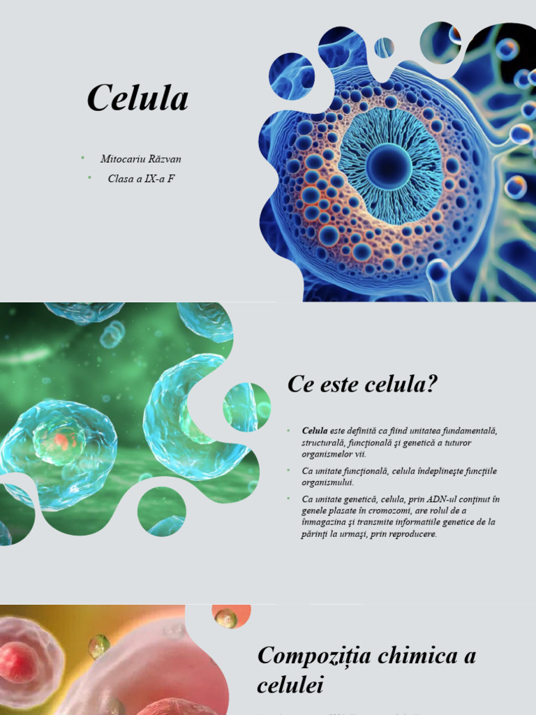 Celula | PDF