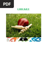KS2 Cricket Lesson Plan Overview | PDF | Bowling (Cricket) | Physical ...
