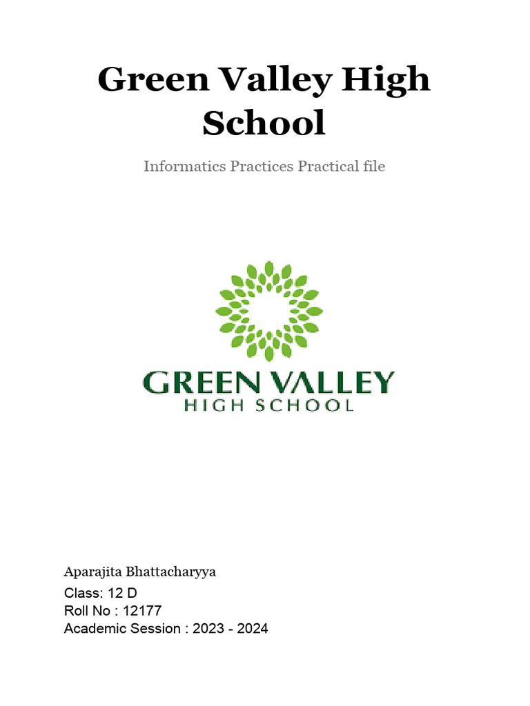 Ip Practical File Pdf