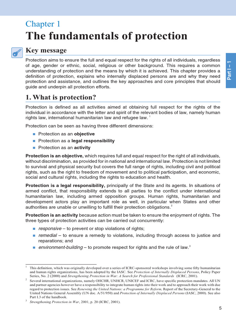 UNHCR IDP Protection | PDF | Internally Displaced Person | Refugee